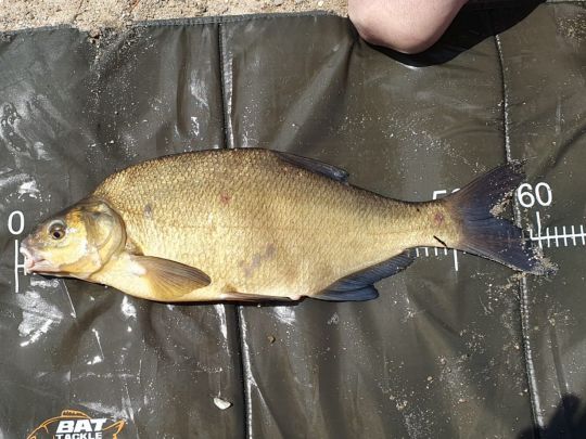 Mahnensee (Rees) | ALLE ANGELN