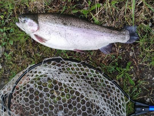 Angelparadies Herrhausen | ALLE ANGELN