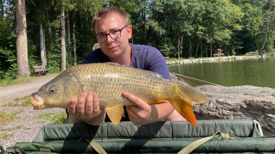 Grafenteich (Voitsberg) | ALLE ANGELN