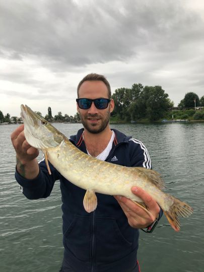 Erlensee (Eich) | ALLE ANGELN