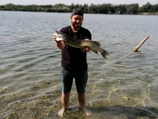 Blattsee (Ichenheim) | ALLE ANGELN
