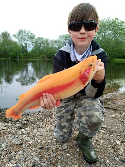 Rødekro Fiskepark | ALLE ANGELN
