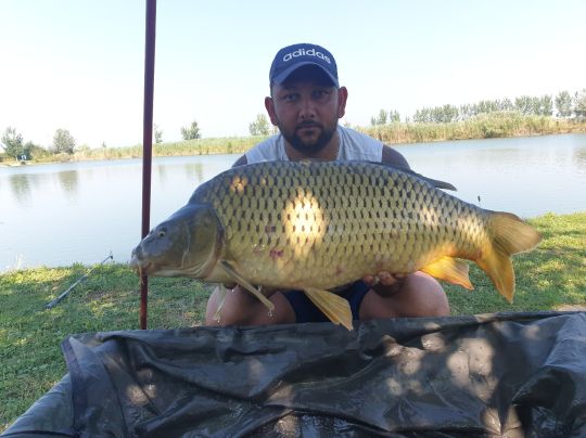Arizona Carp Lake (Biatorbágy) | ALLE ANGELN