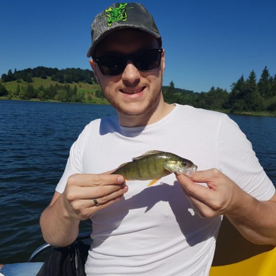 Forggensee | ALLE ANGELN