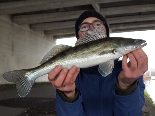 Le Grand Large (Mons) | ALLE ANGELN