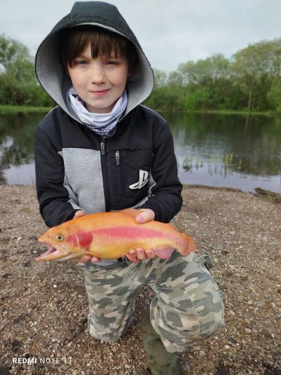 Rødekro Fiskepark | ALLE ANGELN