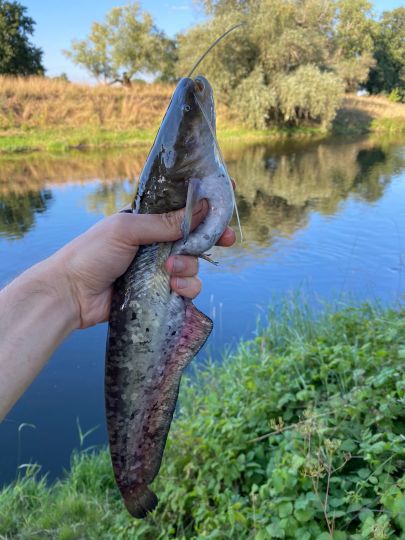 Parthe (Taucha) | ALLE ANGELN