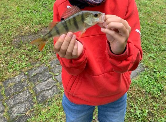 Happinger See | ALLE ANGELN