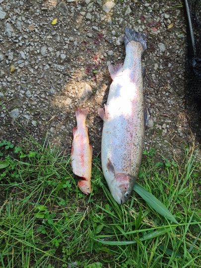 Angelparadies Herrhausen | ALLE ANGELN