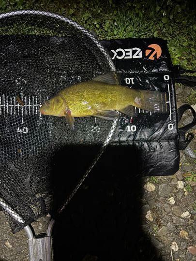 Angelpark Scheid | ALLE ANGELN