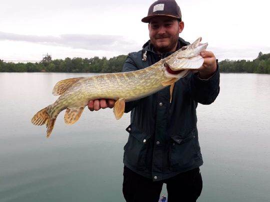 Blattsee (Ichenheim) | ALLE ANGELN