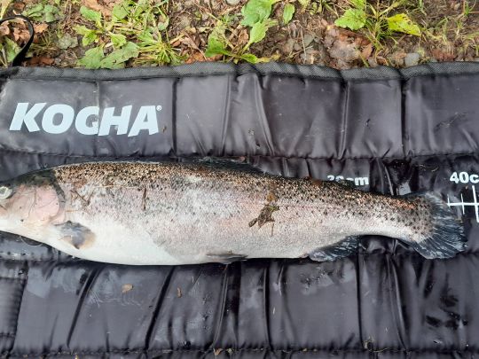 Angelpark Scheid | ALLE ANGELN