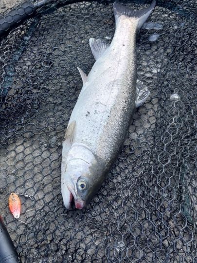 Angelpark Scheid | ALLE ANGELN