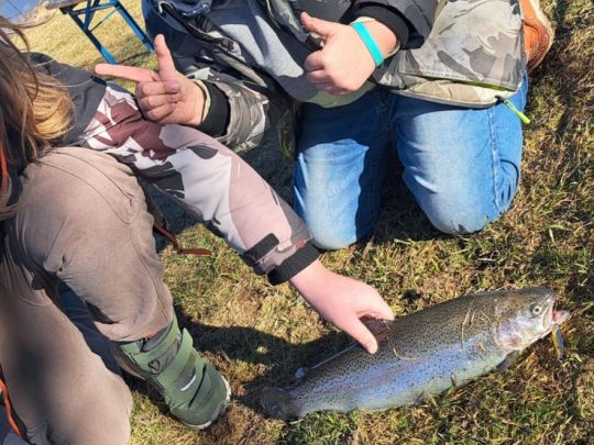 Forellen Konrad | ALLE ANGELN