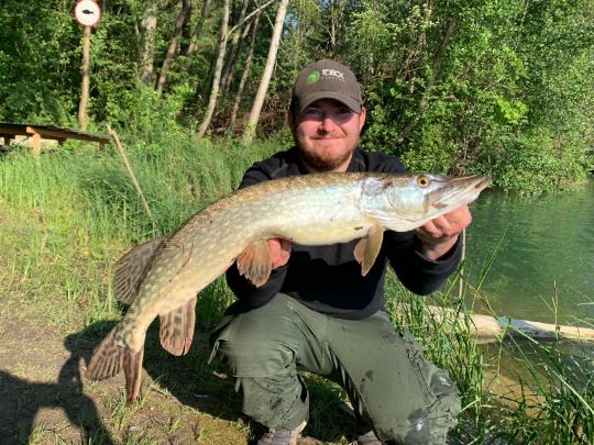 Blattsee (Ichenheim) | ALLE ANGELN