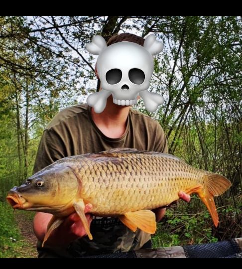 Freizeitweiher Sattling | ALLE ANGELN