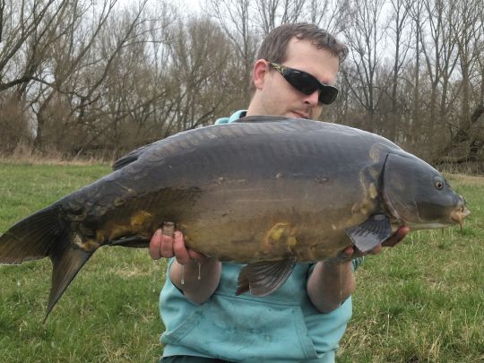Baggersee Erlach (Hirschaid) | ALLE ANGELN