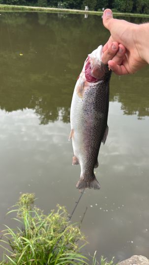 Angelpark Scheid | ALLE ANGELN