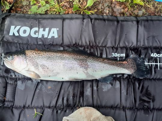 Angelpark Scheid | ALLE ANGELN