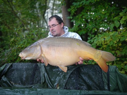 Erlensee (Bickenbach) | ALLE ANGELN