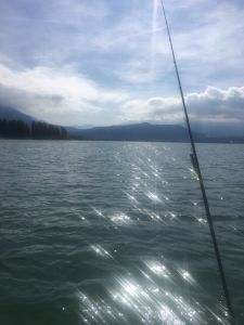 Forggensee | ALLE ANGELN