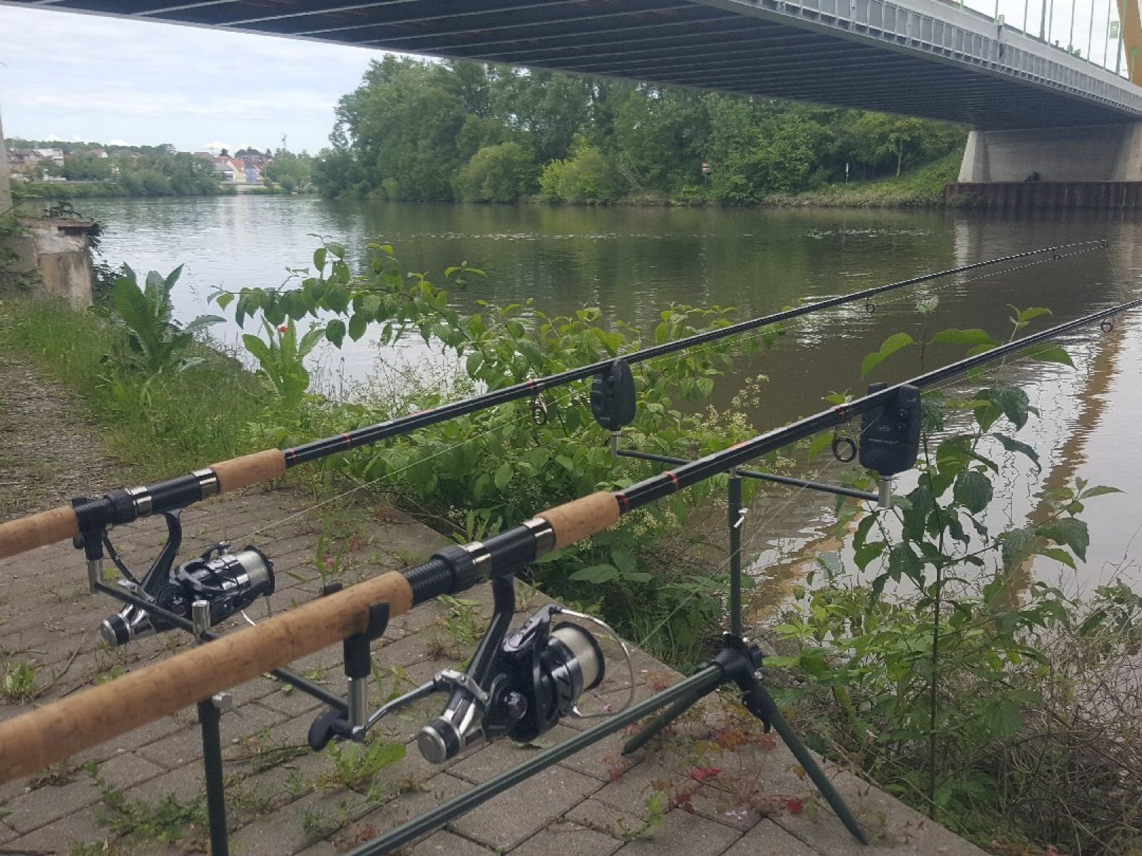 Neckar (Heilbronn) | ALLE ANGELN