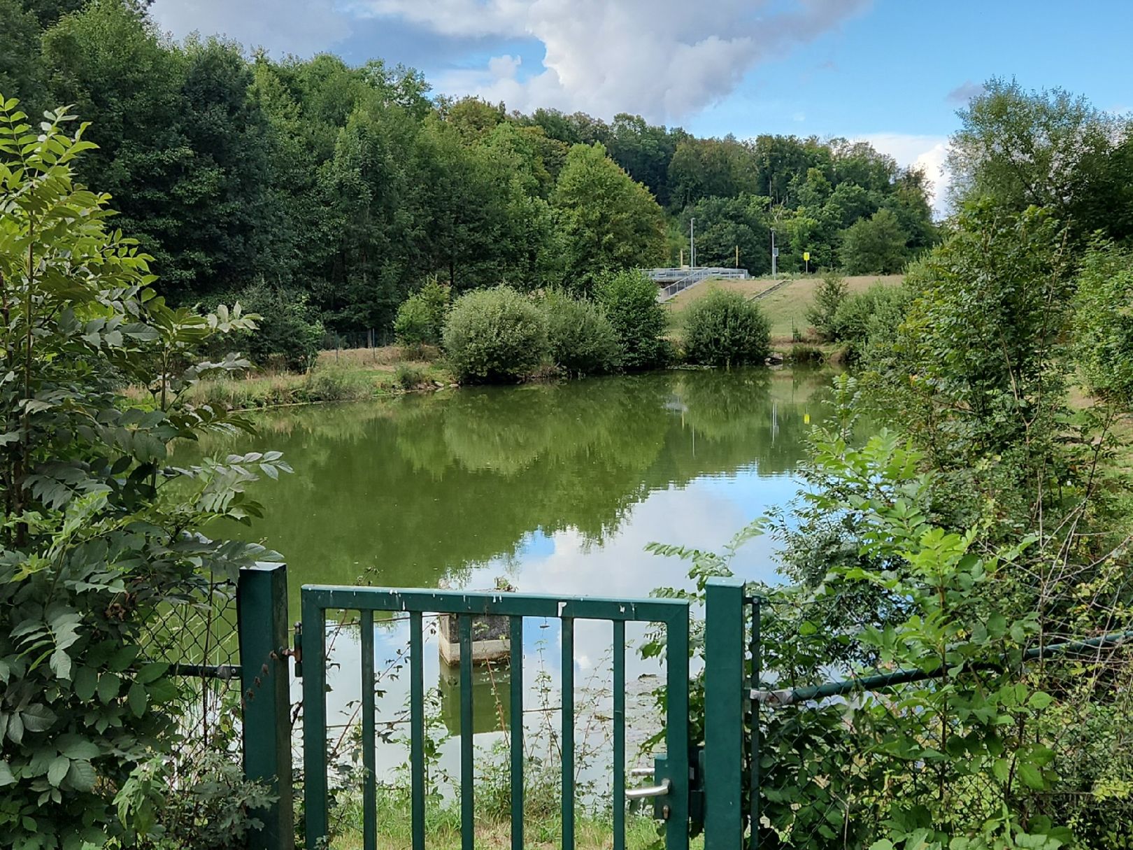 Hemsbach See | ALLE ANGELN