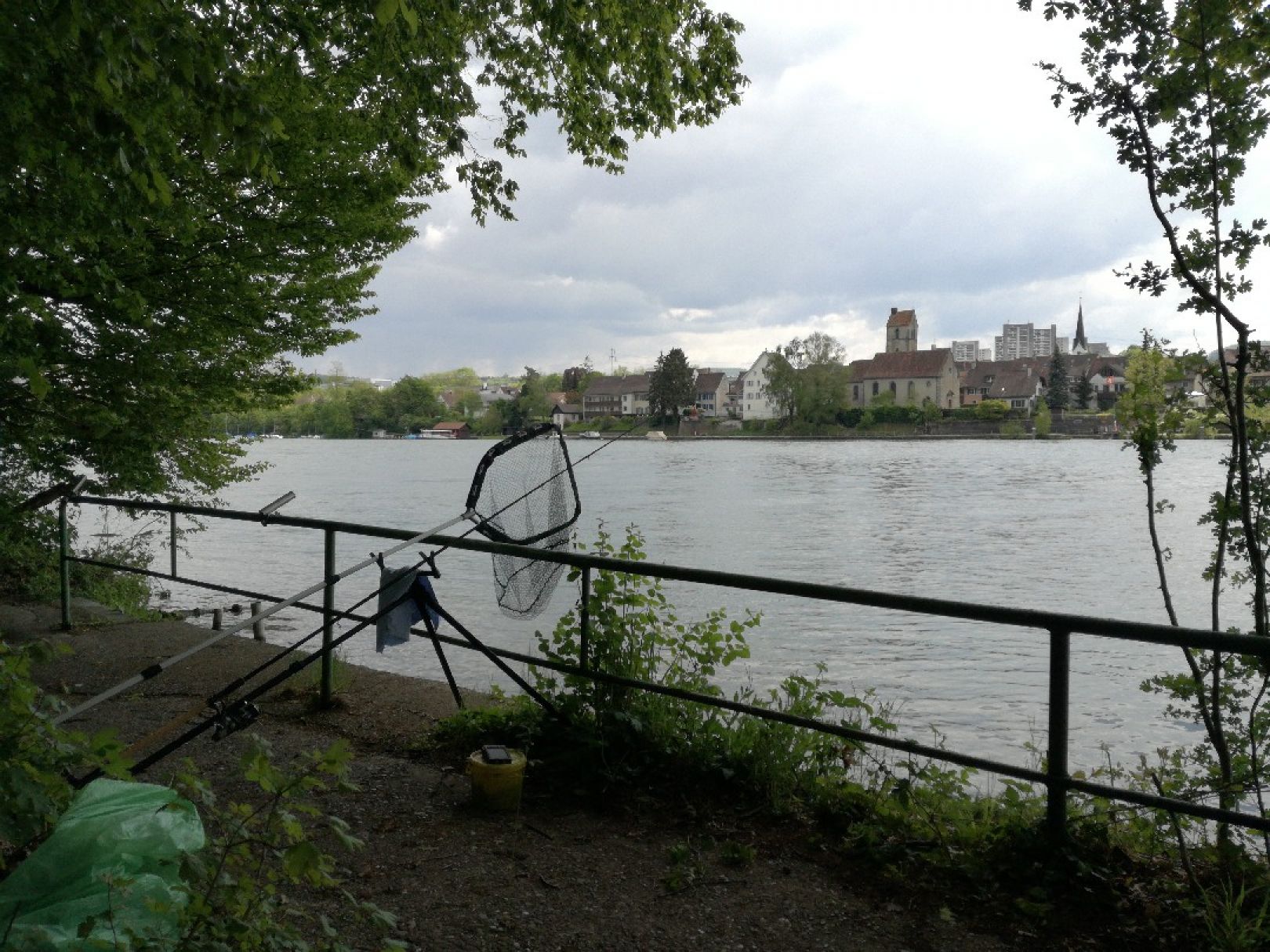 Rhein (Breisach am Rhein) | ALLE ANGELN