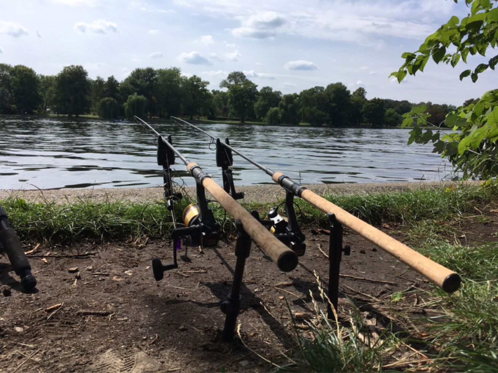 Spree (Berlin-Treptow) | ALLE ANGELN