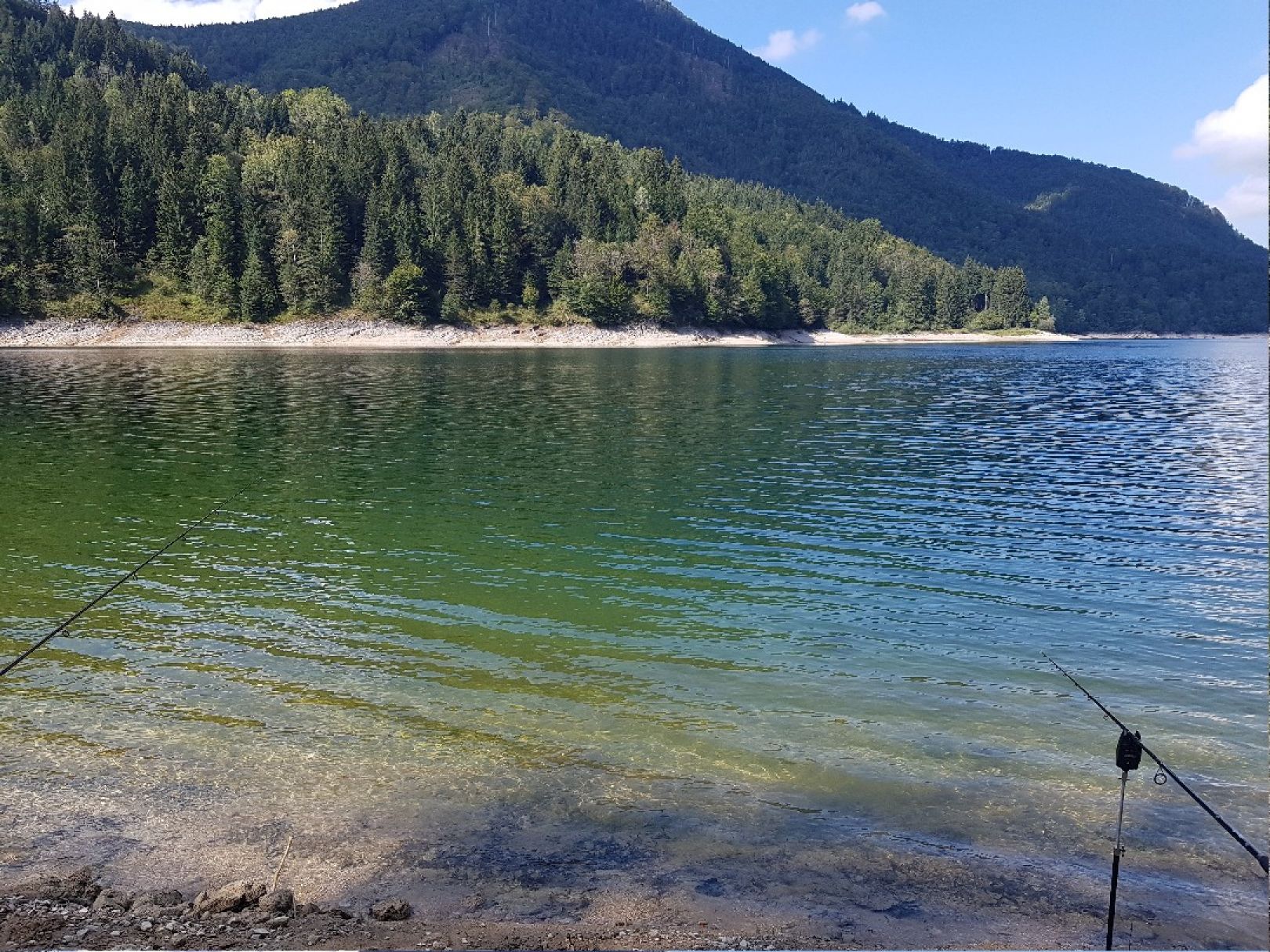 Wiestalstausee | ALLE ANGELN