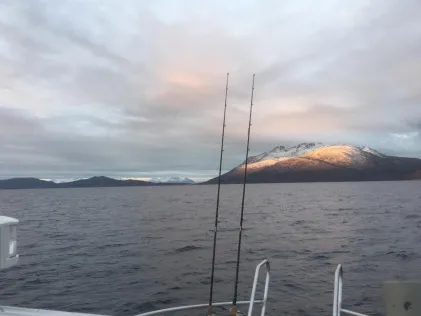 Medby (Senja) | ALLE ANGELN