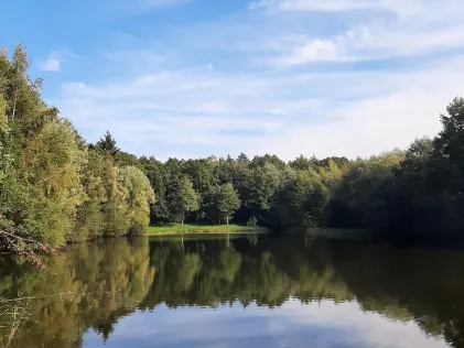 Hans-Marquart-Teich | ALLE ANGELN