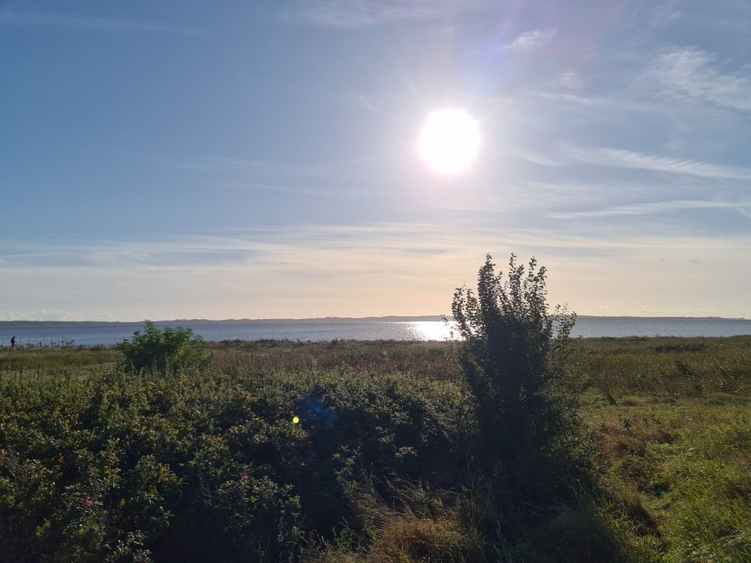 Bogenser Strand | ALLE ANGELN