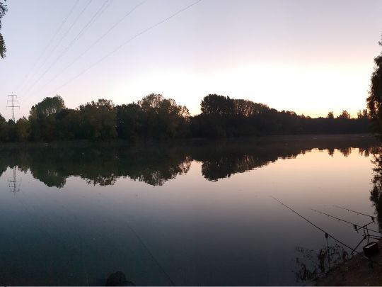 Erlensee (Bickenbach) | ALLE ANGELN