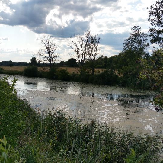 Raband (Bralitz) | ALLE ANGELN