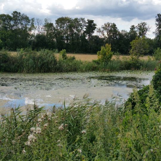 Raband (Bralitz) | ALLE ANGELN