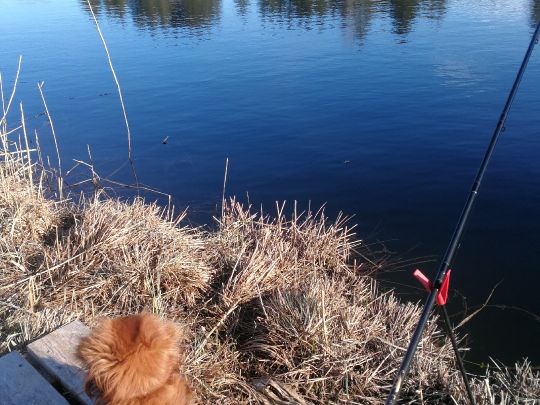 Lussensee | ALLE ANGELN