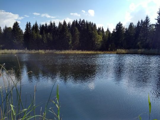 Lussensee | ALLE ANGELN
