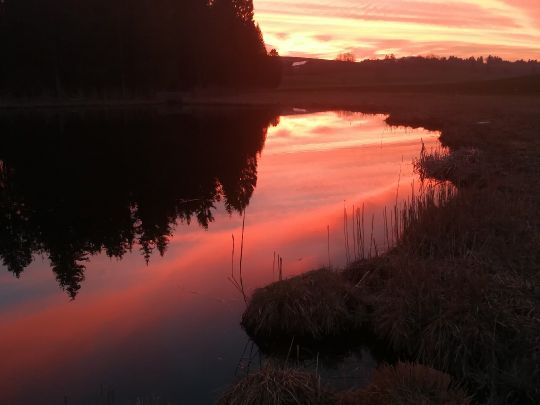 Lussensee | ALLE ANGELN