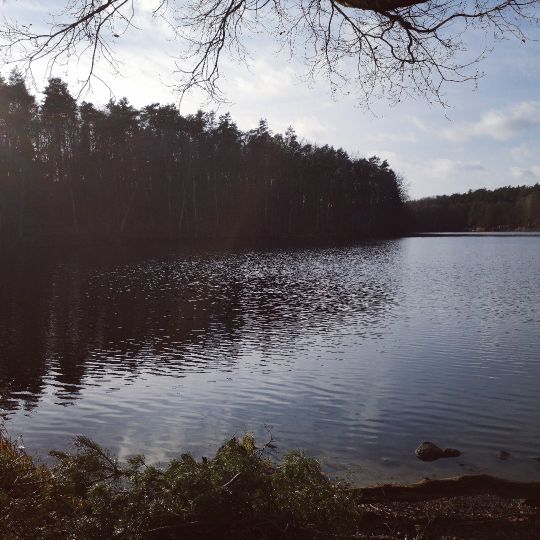 Krumme Lanke (Lanke) | ALLE ANGELN