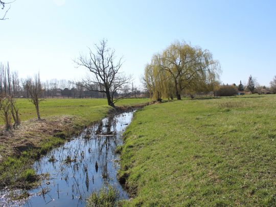 Reide (Halle/Saale) | ALLE ANGELN