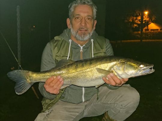 Weser (Nienburg) | ALLE ANGELN