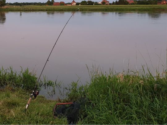 Weser (Minden) | ALLE ANGELN