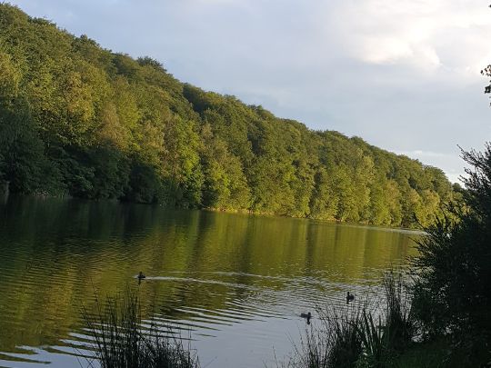 Bevertalsperre | ALLE ANGELN