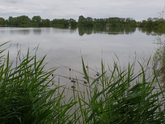 Accumer See | ALLE ANGELN