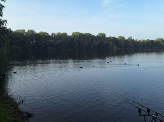 Het Hoge Venne | ALLE ANGELN