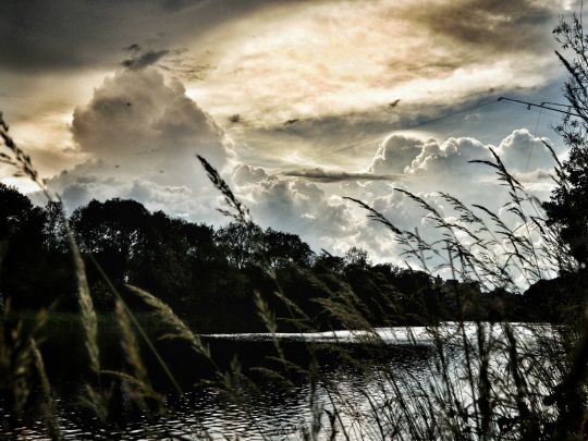 Freiberger Mulde (Leisnig) | ALLE ANGELN