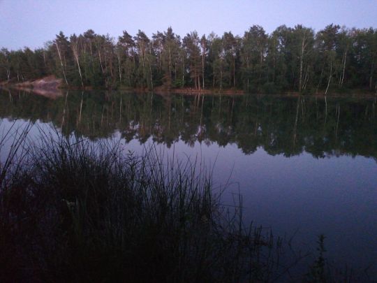 Neuenhainer See | ALLE ANGELN