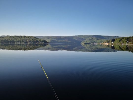 Rursee (Rurtalsperre) | ALLE ANGELN