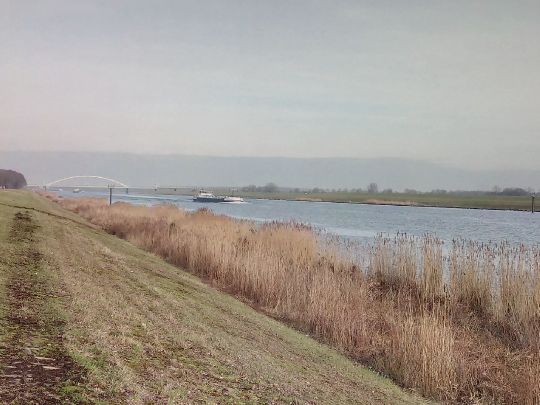 Schelde-Rijnkanaal | ALLE ANGELN